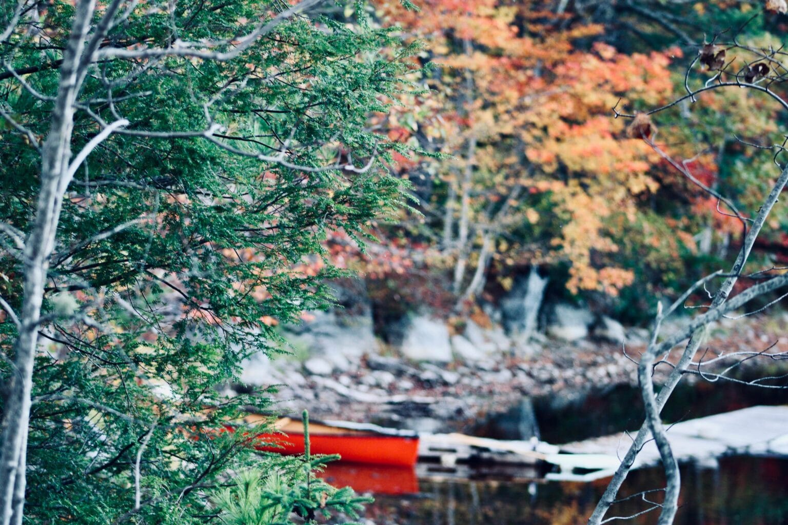 Pictou County Prioritizes Occupations for Rural PR Pathway in 2025