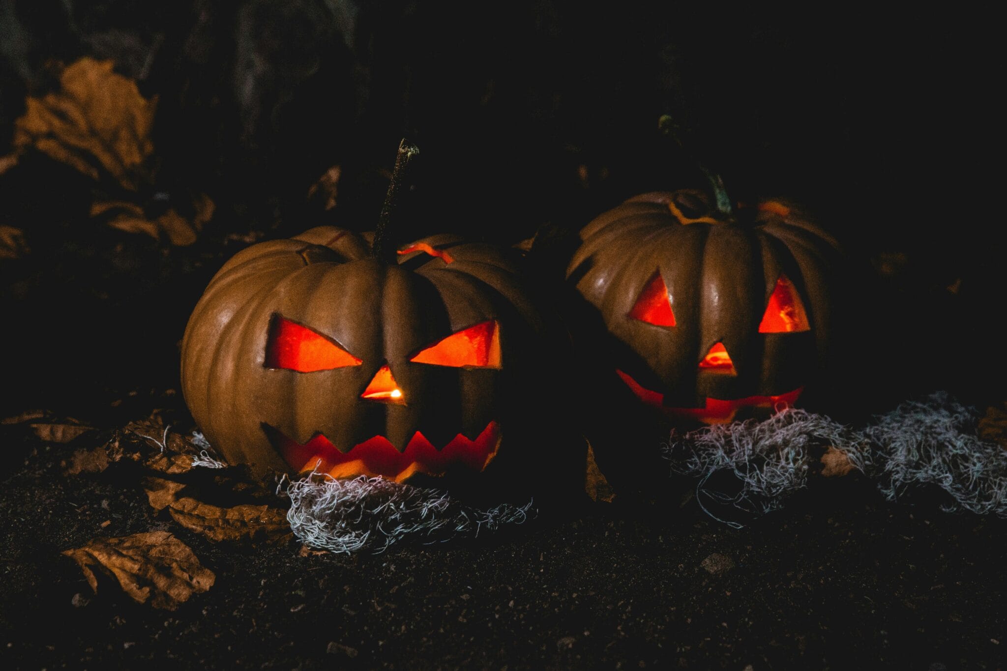A Guide to Halloween in Canada for Newcomers & Students